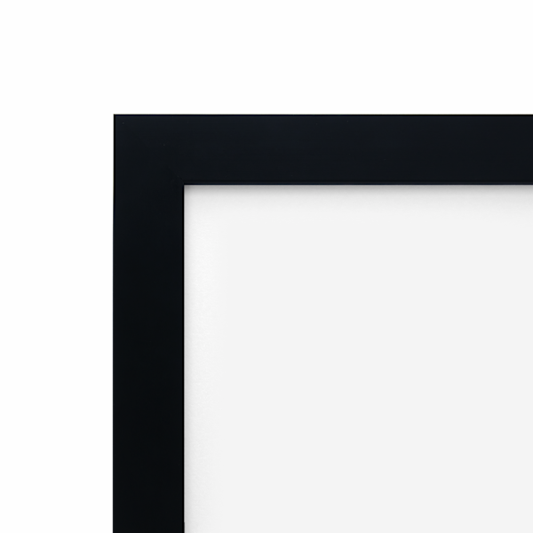 Zeppelin Frame – Framefox