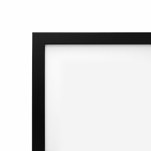 Zeppelin Slim Frame – Framefox