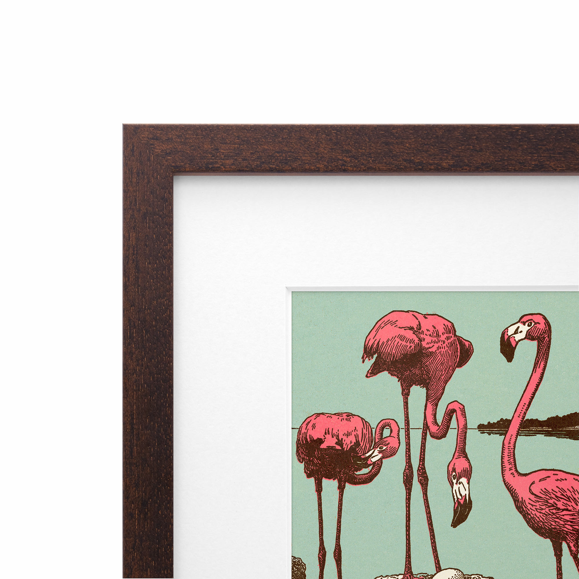 Hendrix Framed Print – Framefox