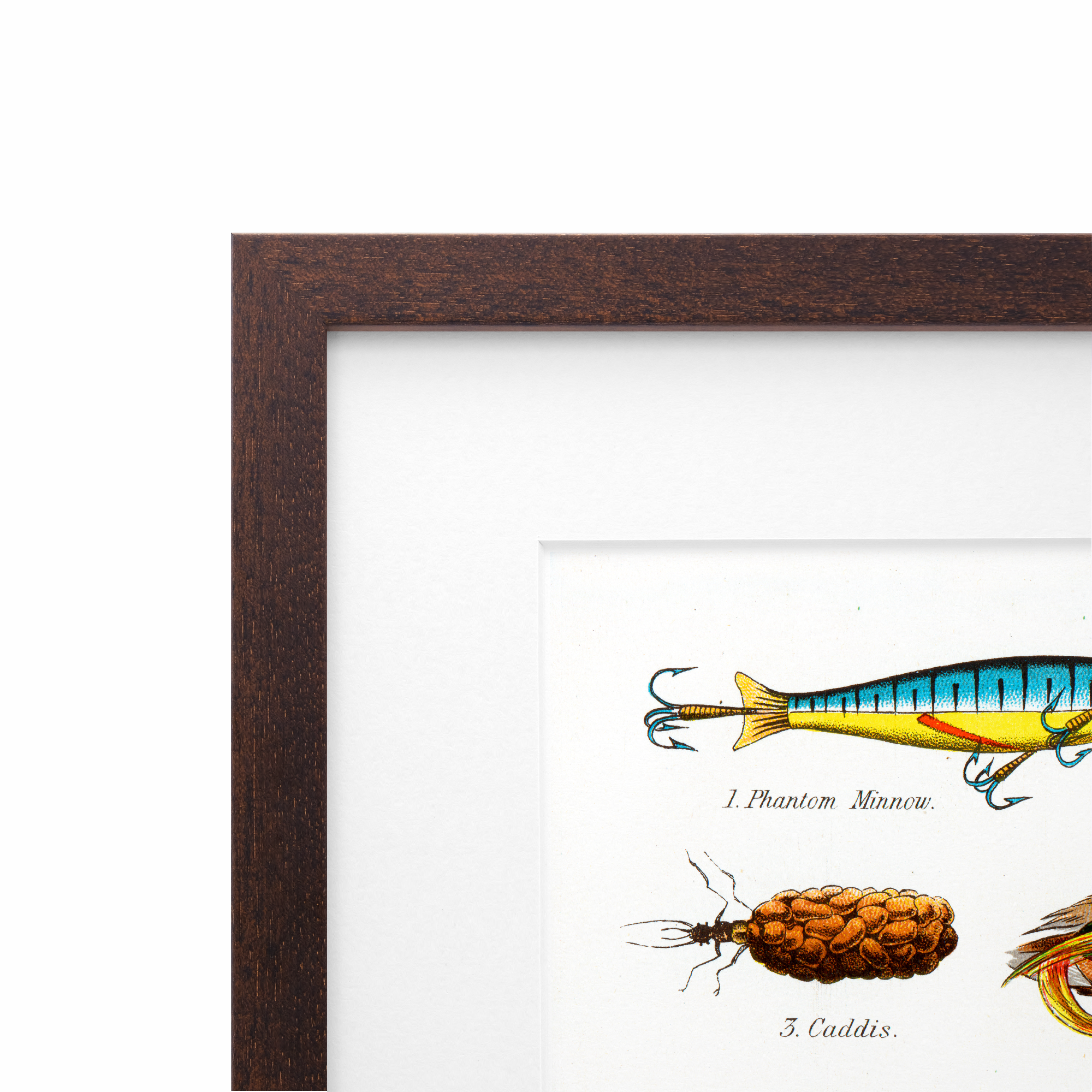 Hendrix Skinny Framed Print – Framefox